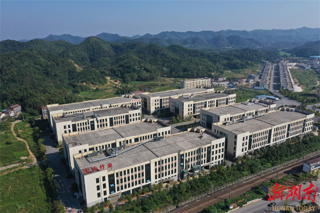 Hunan Government Website International-enghunan.gov.cn Linxiang-made ...