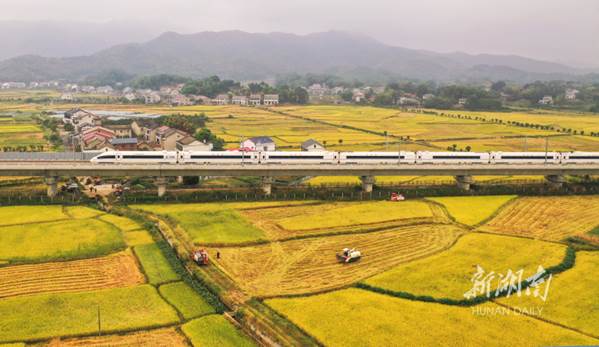 Hunan Government Website International-enghunan.gov.cn Golden Autumn ...